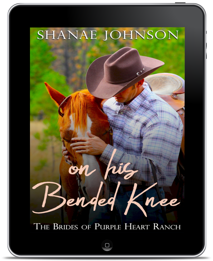 The Brides of Purple Heart Ranch Complete Series [PRINT BOOK ...
